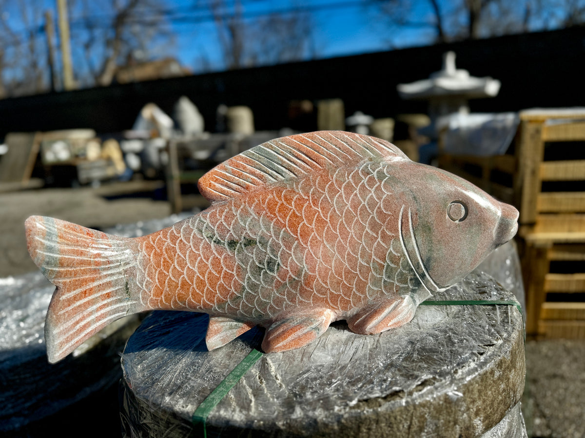 Koi – Rock Garden Imports